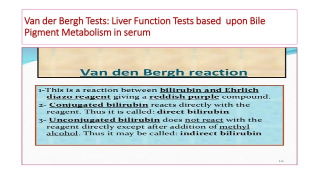 Liver function tests and their clinical applications | PDF | Endocrine ...