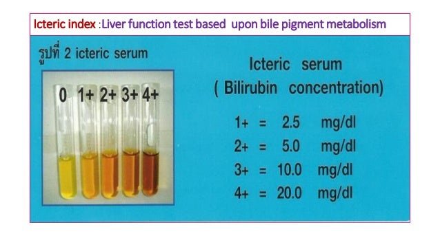 Liver function tests and their clinical applications