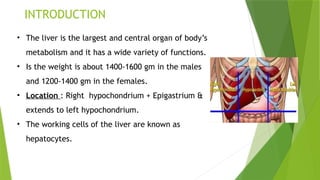 LIVER FUNCTION TESTS (LFT) G. Biradar.pptx