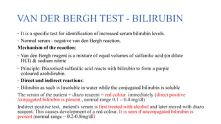 Liver Function Tests Purvika.pptxnnnnnnn | PPTX