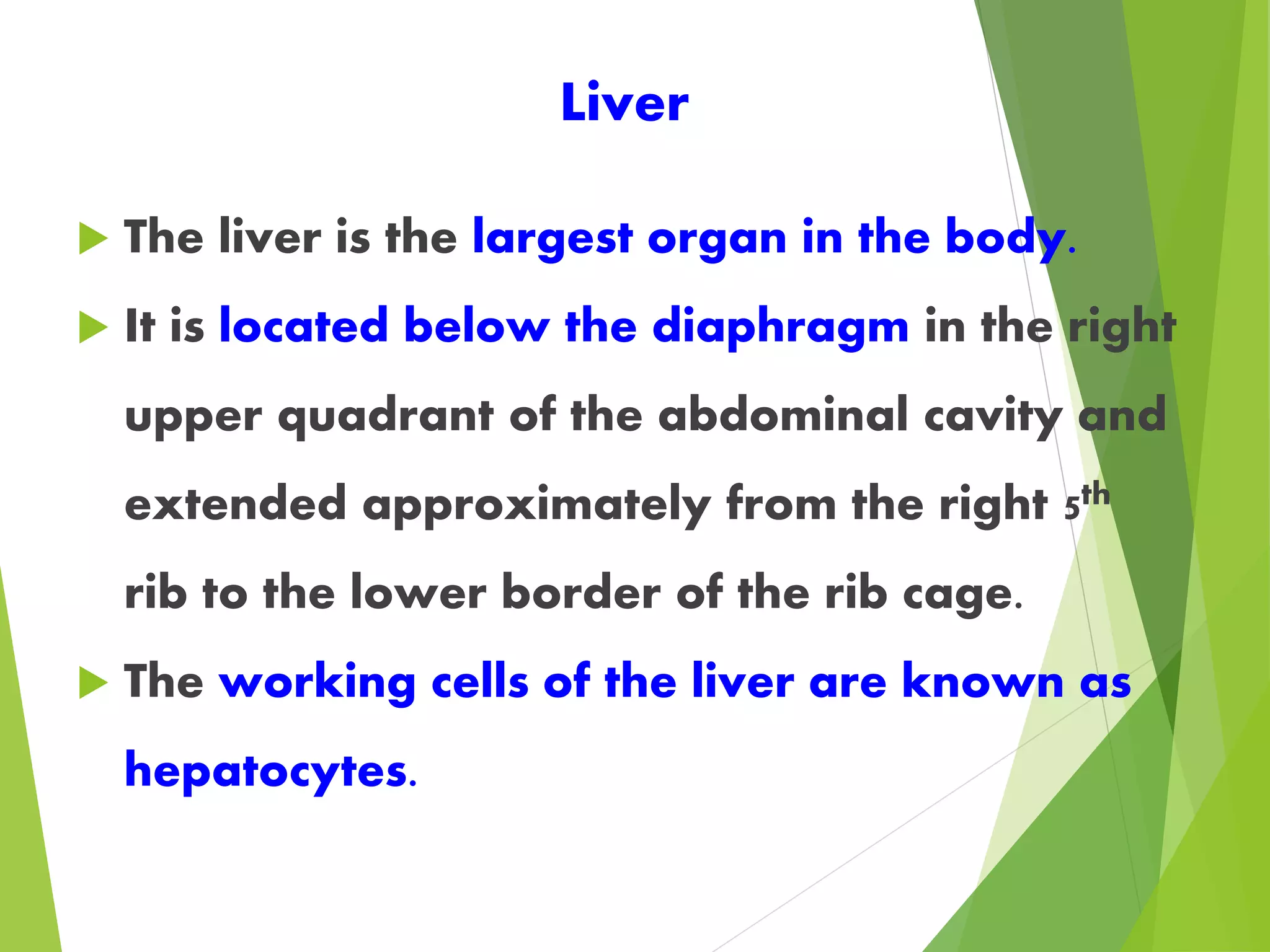 Liver fxn | PPTX