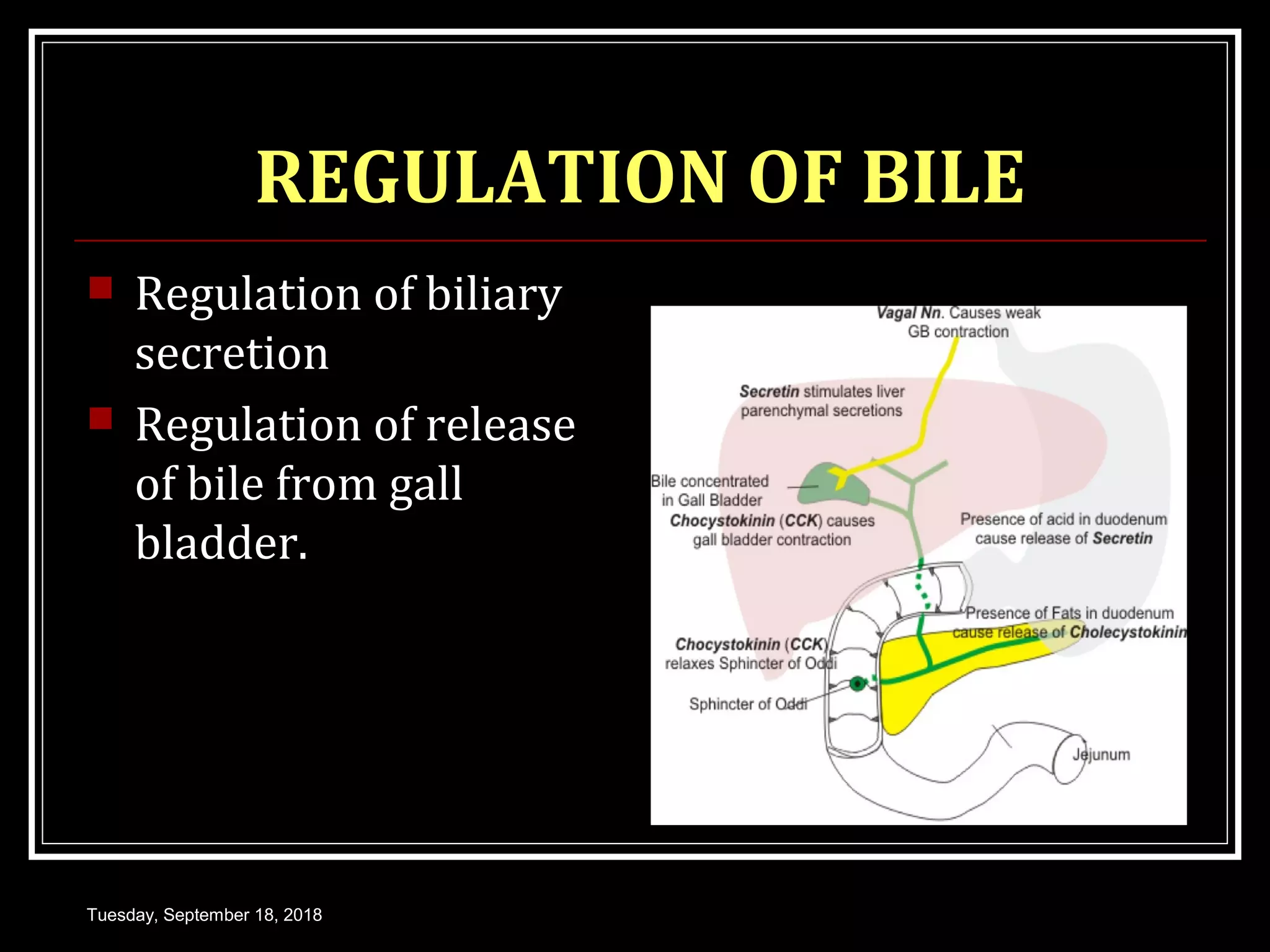 Liver & Gall bladder | PPT