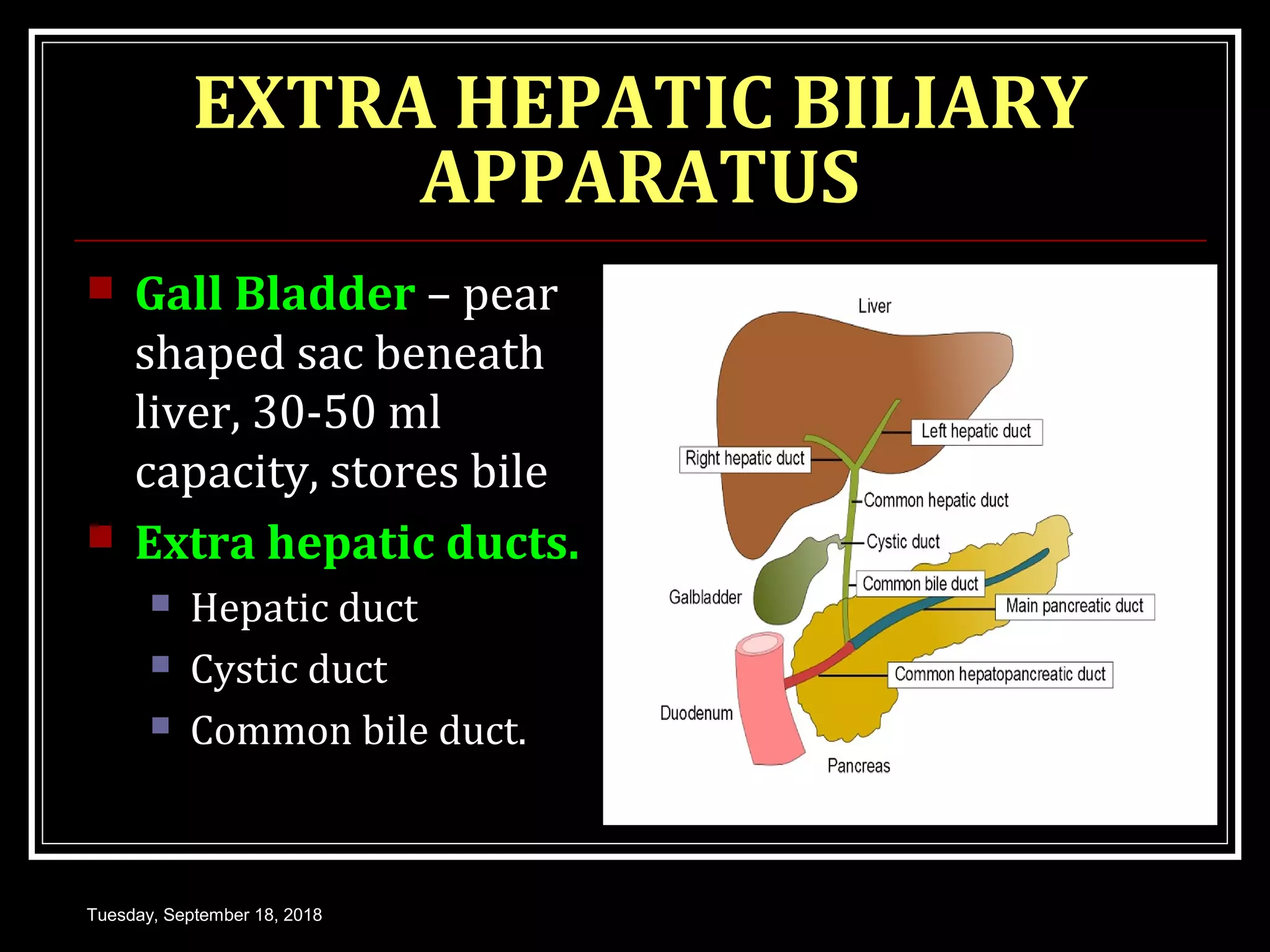 Liver & Gall bladder | PPT