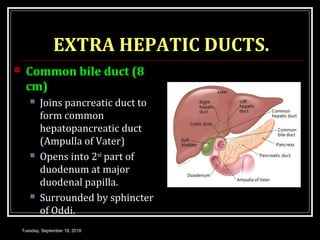 Liver & Gall bladder | PPT