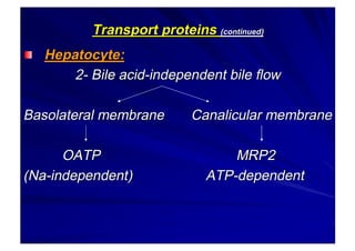 Liver & gut interrelation | PDF