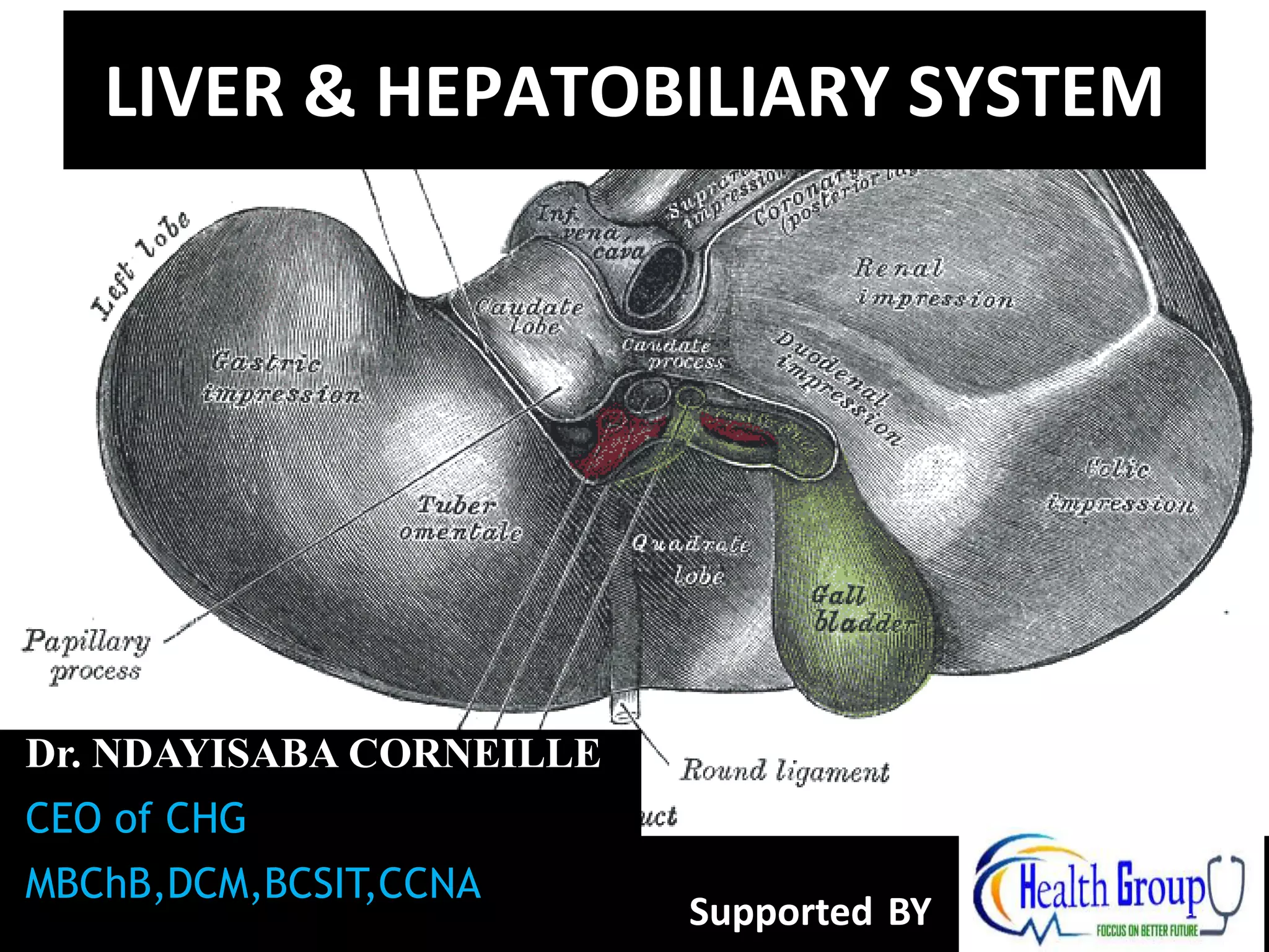 Liver & Hepatobiliary System .pptx