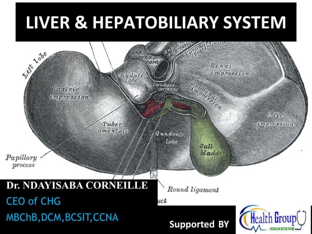Liver & Hepatobiliary System .pptx