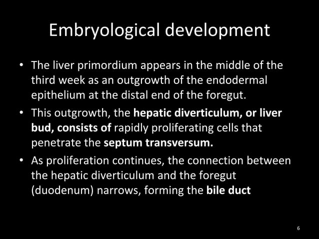 Liver Hepatobiliary System Pptx