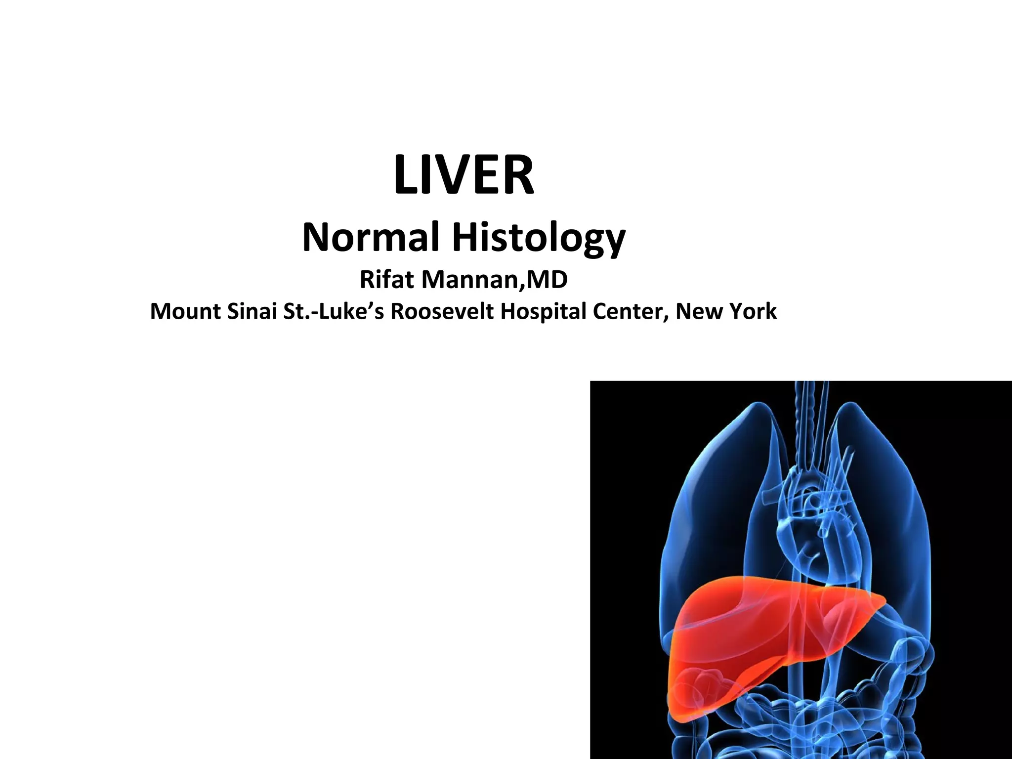 Histology of normal liver | PPT
