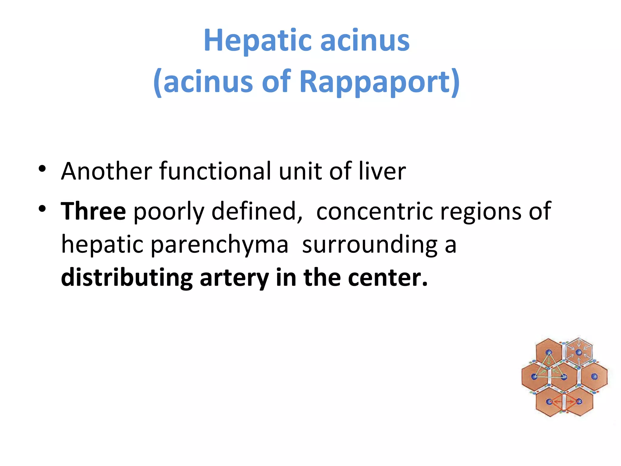 Histology of normal liver | PPT