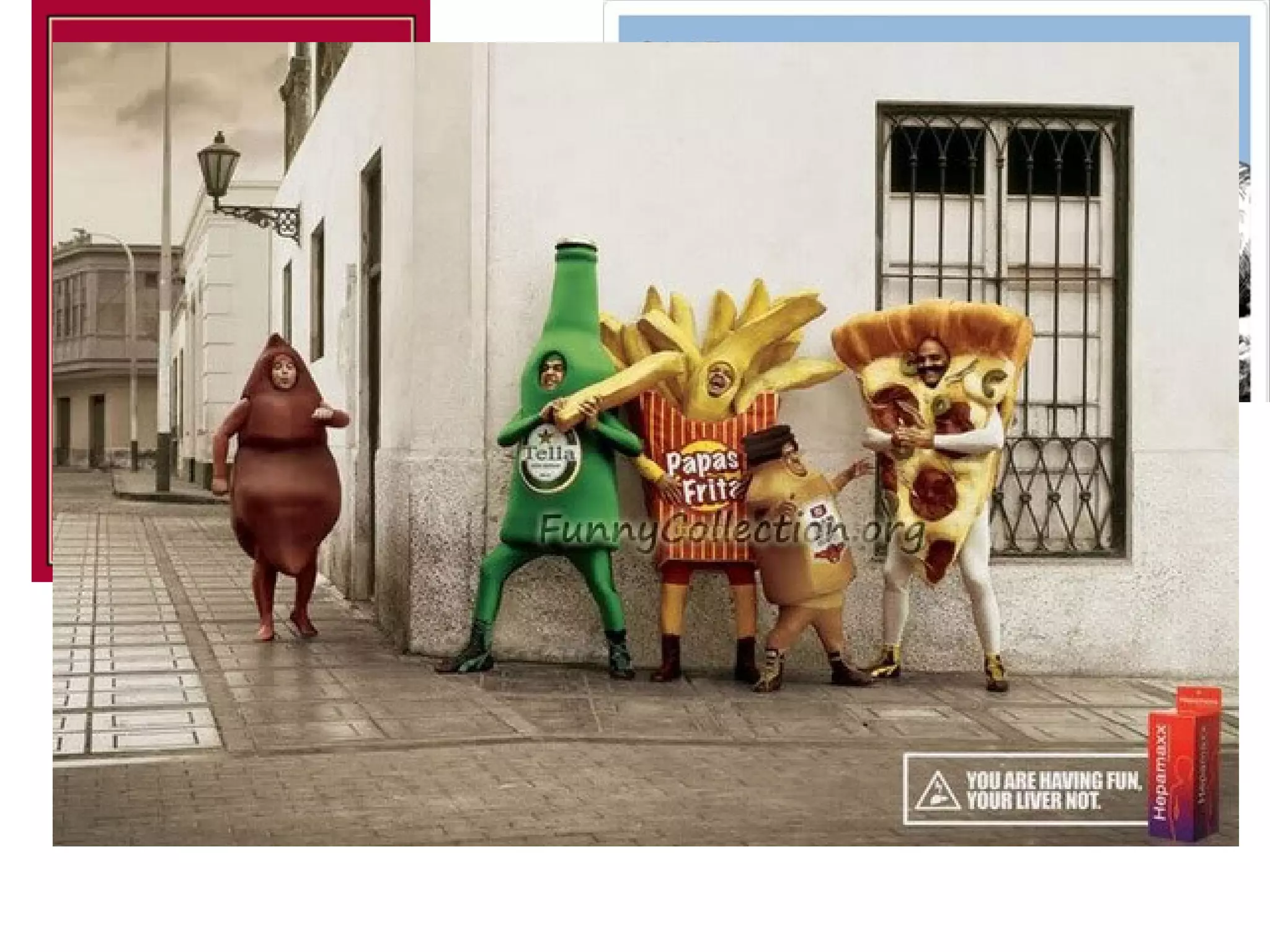 Histology of normal liver | PPT