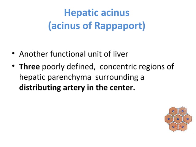 Histology of normal liver | PPT
