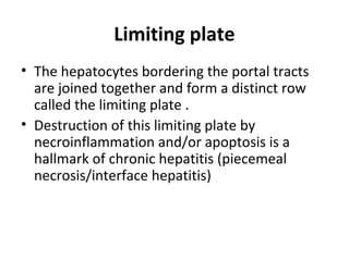 Histology of normal liver | PPT