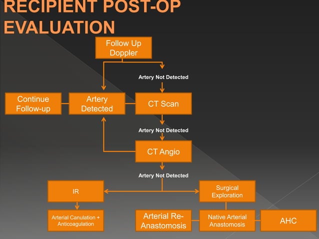 Liver imaging ct scan algorithm | PPTX | Lung and Respiratory Health ...