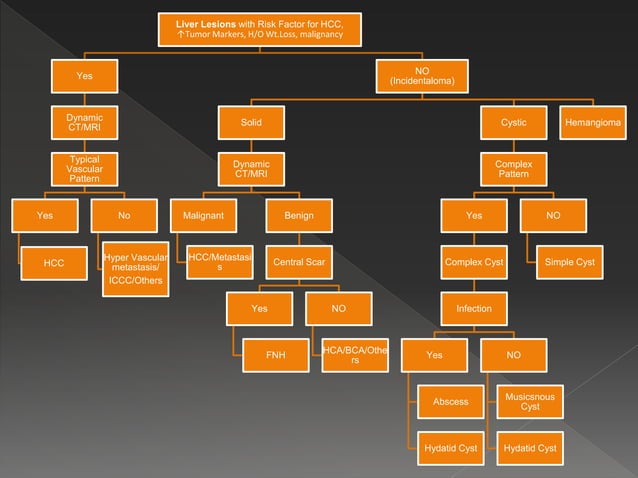 Liver imaging ct scan algorithm | PPTX | Lung and Respiratory Health ...