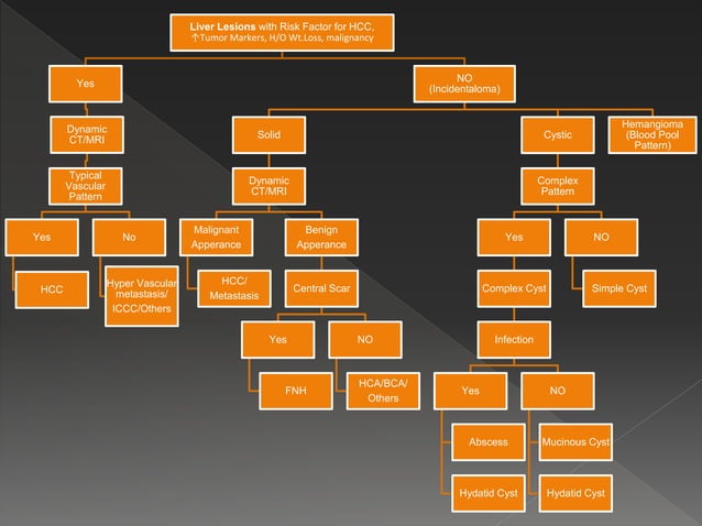 Liver imaging ct scan algorithm | PPTX | Lung and Respiratory Health | Diseases and Conditions