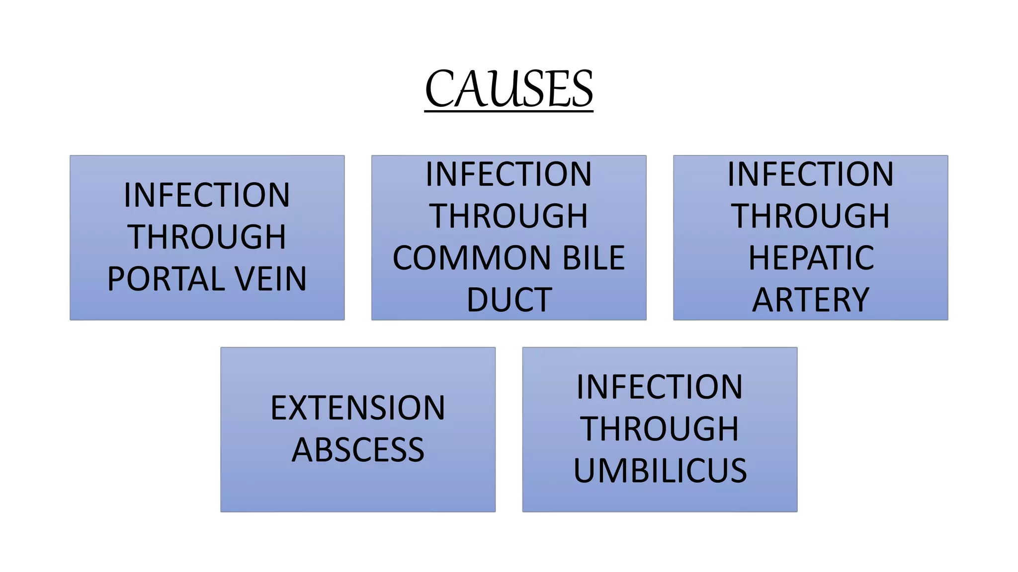 LIVER INFECTIONS.pptx