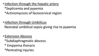LIVER INFECTIONS.pptx | Digestive Disorders | Diseases and Conditions