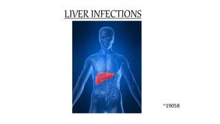 Liver Infections and Parasitic Diseases Explained | PPT