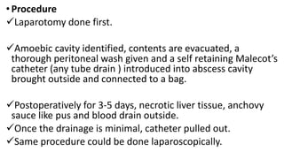 LIVER INFECTIONS.pptx