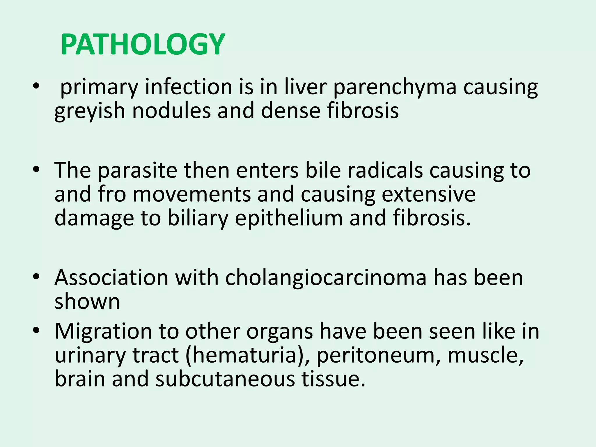 Liver infections and infestations | PPTX