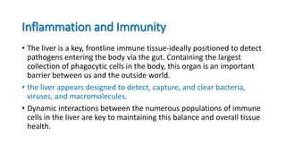 liver injury.pptx jhfvbghhbbnnnnbcdddvhhhhh | PPT
