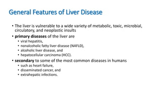 liver injury.pptx jhfvbghhbbnnnnbcdddvhhhhh | PPT