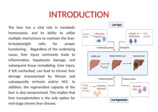 Acute Liver Injury & Liver Function Test.pptx