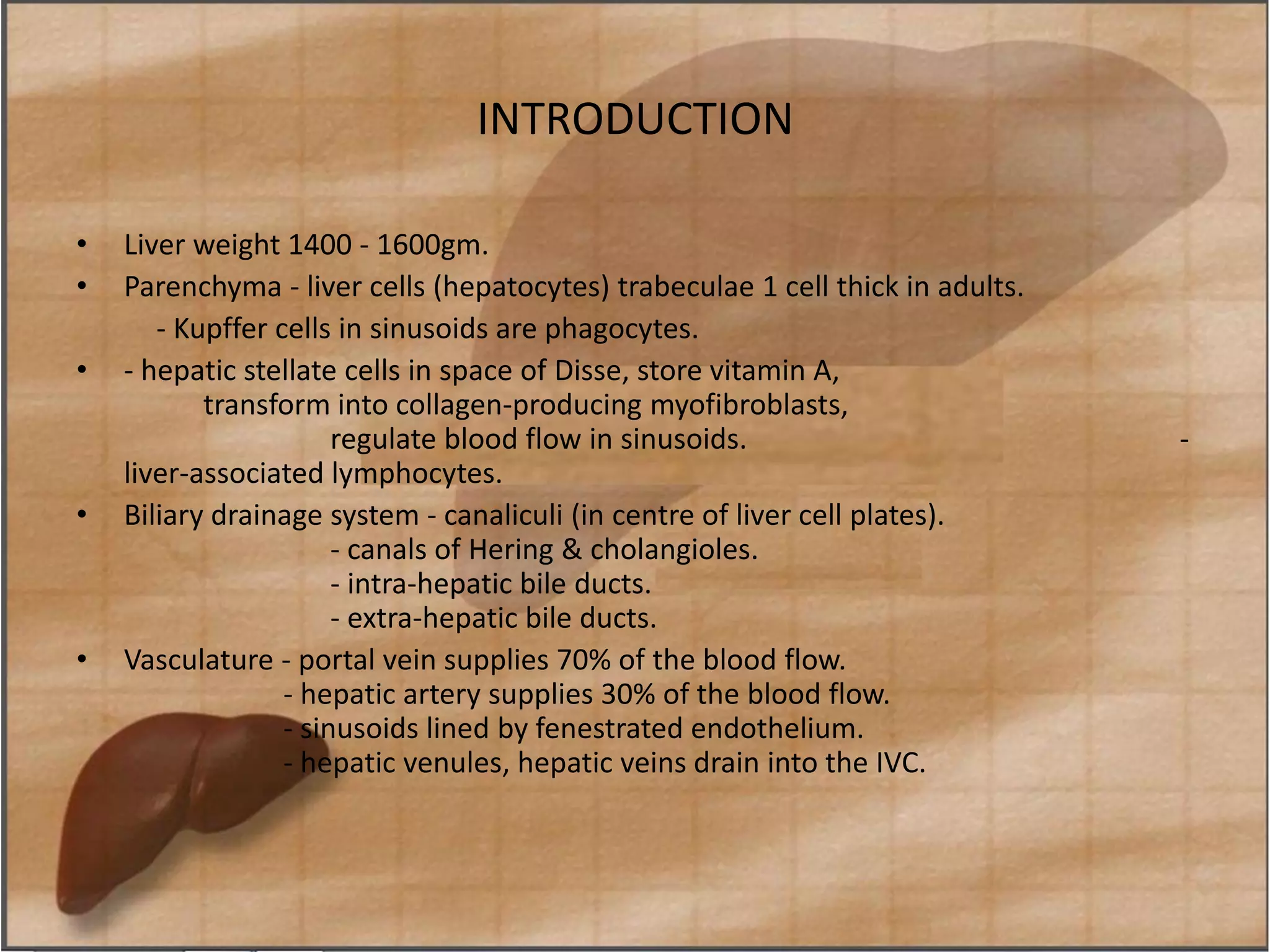 Liver & its diseases | PDF