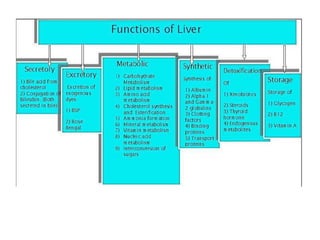 Liver & its diseases | PDF
