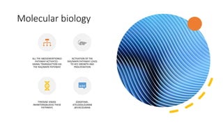 HCC MANGEMENT(RAD ONCO) | PPT
