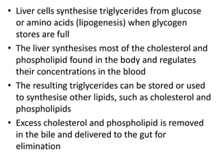 Liver metabolism.pptx