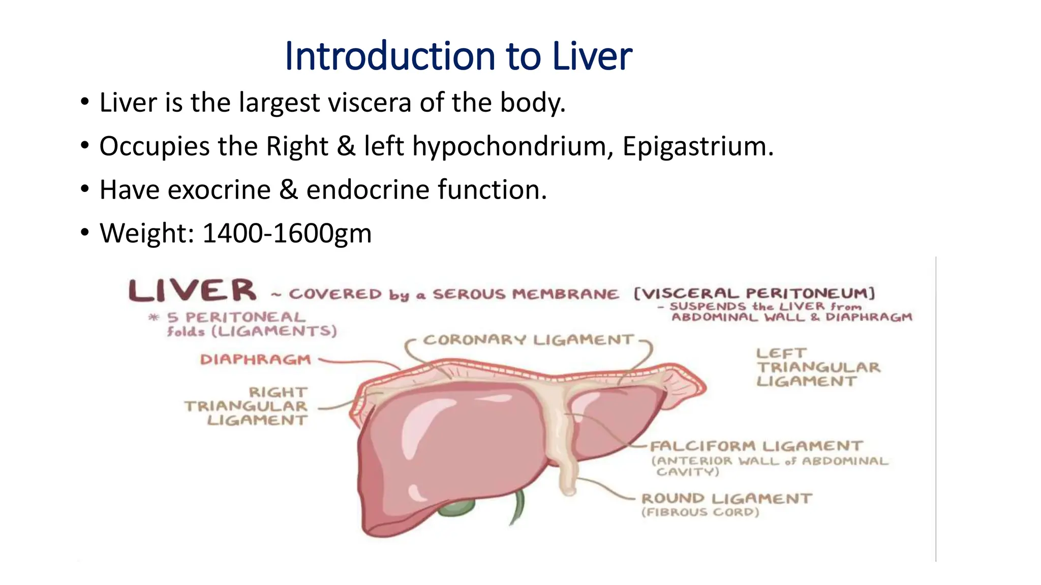 Neoplasm of Liver.pptx