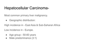 Comprehensive Overview of Liver Neoplasms: Anatomy, Diagnosis, and ...