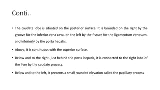 Liver_Nursing.pptx | Endocrine and Metabolic Diseases | Diseases and ...