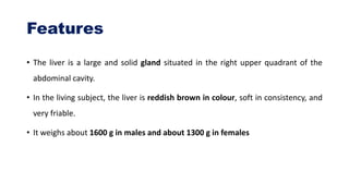 Liver_Nursing.pptx | Endocrine and Metabolic Diseases | Diseases and ...