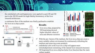 Liver on a chip | PPTX | Biotech and Biomedical Industry | Industries