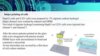 Liver on a chip | PPTX | Biotech and Biomedical Industry | Industries