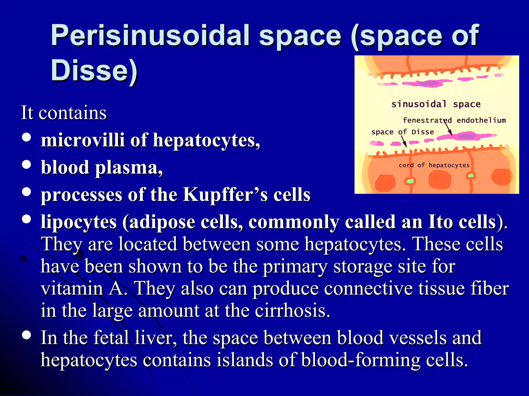 Liver pancreas | PPT