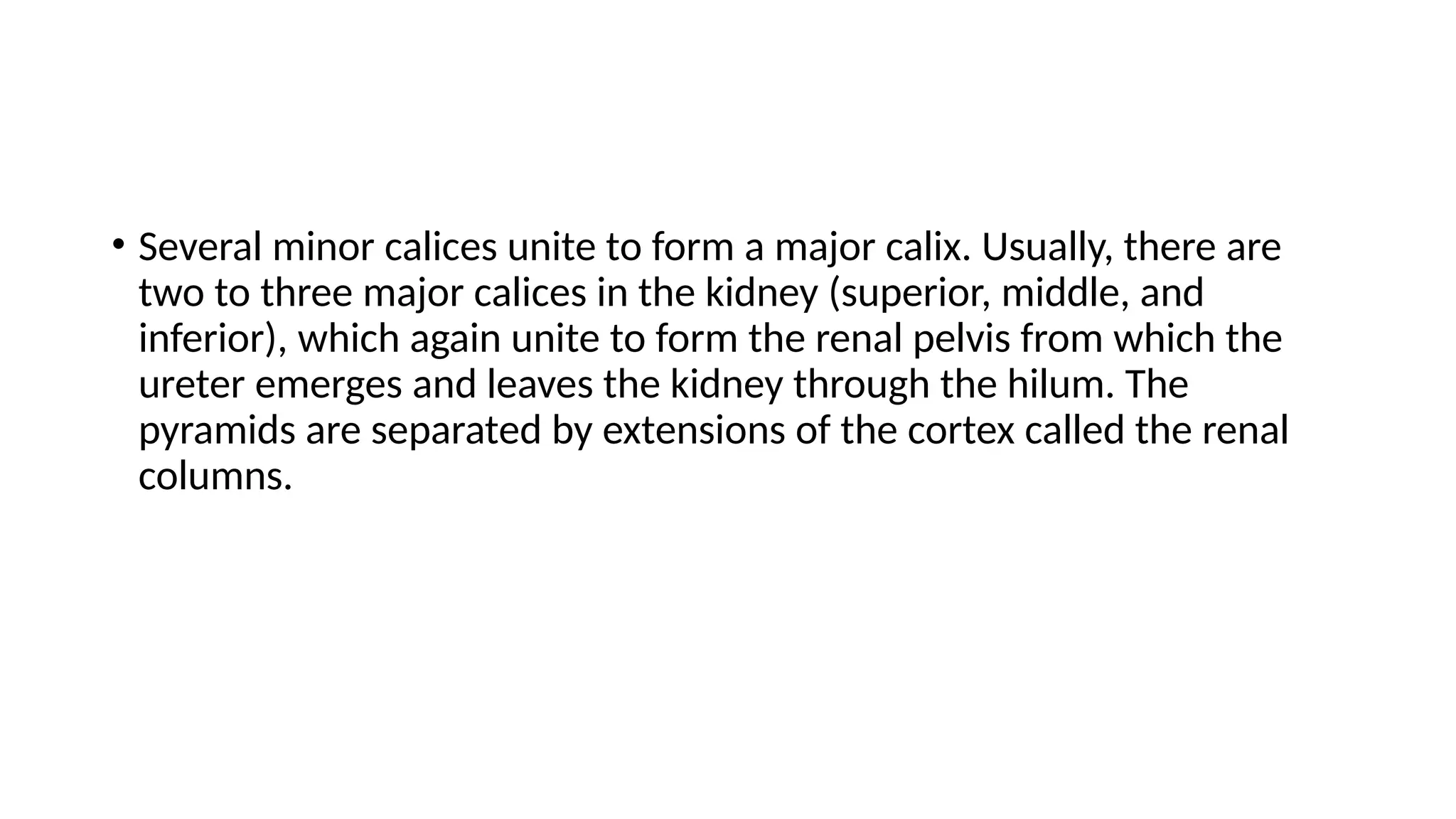 liver, pancreas and kidney.pptx876543219 | PPTX