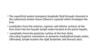 liver, pancreas and kidney.pptx876543219 | PPTX