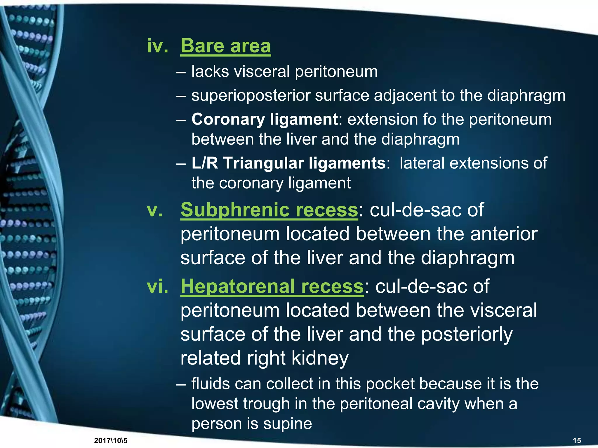 Liver pancreas and spleen | PPT