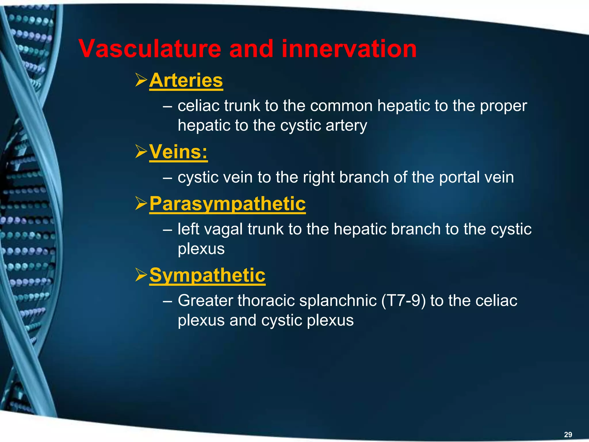 Liver pancreas and spleen | PPT