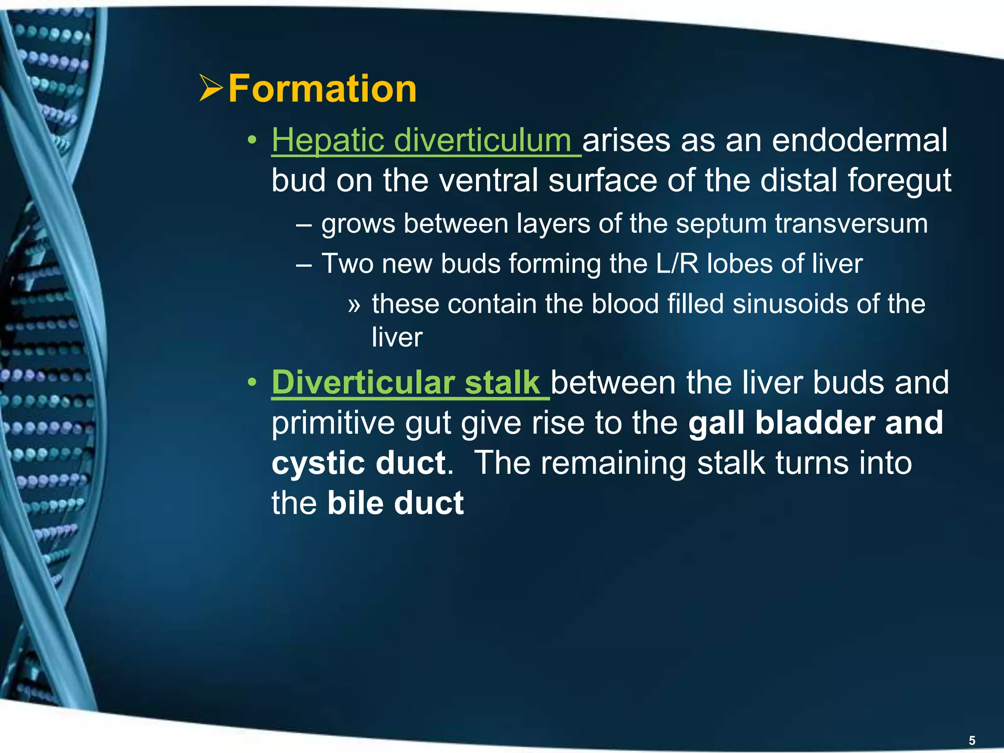 Liver pancreas and spleen | PPT