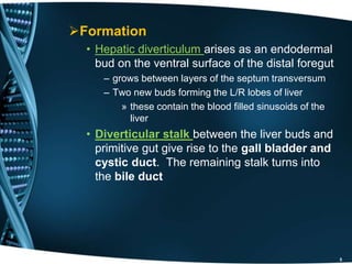 Liver pancreas and spleen | PPT