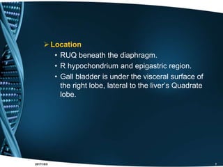Liver pancreas and spleen | PPT