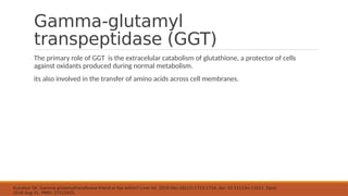 liver FUNCTION TEST CLINICAL PATHOLOGY clinic.pdf