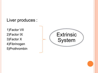Liver physiology | PPTX