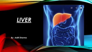 Liver ppt | PDF | Endocrine and Metabolic Diseases | Diseases and ...
