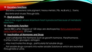 Liver ppt | PDF | Endocrine and Metabolic Diseases | Diseases and ...